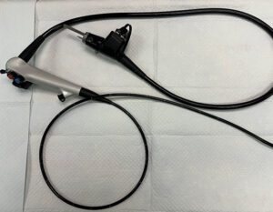 Veterinary Colonoscopy | Savannah Veterinary Internal Medicine